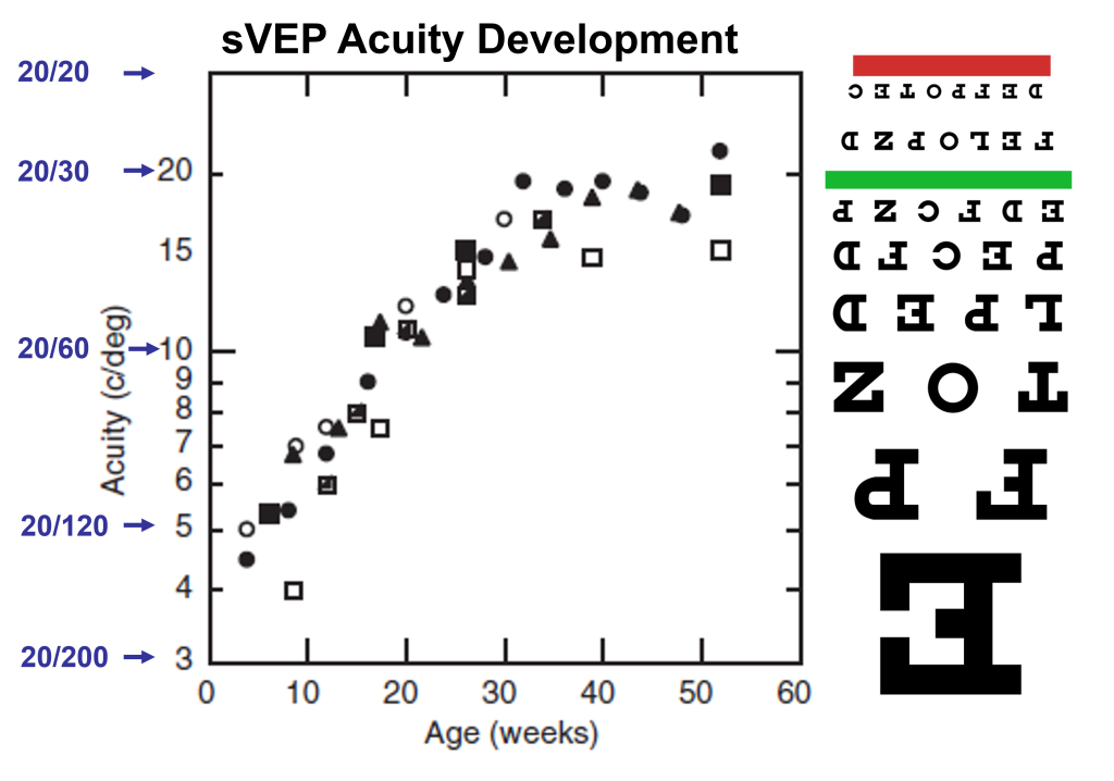 Visual Development - Russell D. Hamer, PhD